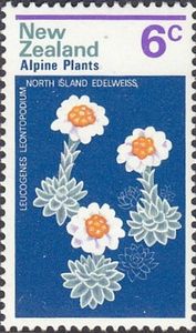 Stamp: North Island Edelweiss (Leucogenes leontopodium) (New Zealand ...