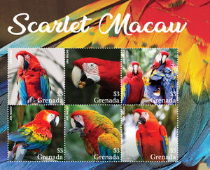 Stamp: Scarlet Macaw (Grenada(Scarlet Macaw (2022)) Yt:GD 6627-6632