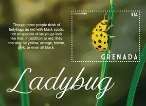 Stamp: Ladybug (Grenada(Ladybug (2022)) Sn:GD 4462,Yt:GD BF937