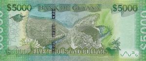 Billete de Banco: 5,000 Dollars (Guyana(2006-2019 ND "Modified Plate ...