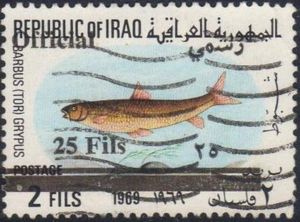 Stamp: Shabout (Barbus grypus) (Iraq(Fish (1975)) Mi:IQ D350,Sn:IQ O313 ...