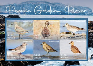 Stamp: Pacific Golden Plover (Tuvalu(Pacific Golden Plover (2023)) Yt ...
