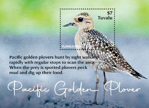 Stamp: Pacific Golden Plover (Tuvalu(Pacific Golden Plover (2023)) Sn ...