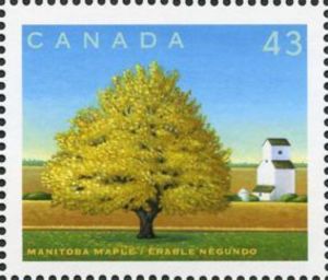 Stamp: Manitoba Maple (Canada(Canada Day (1994), Maple Trees) Mi:CA ...
