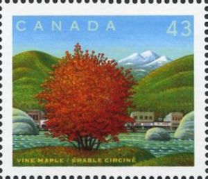 Stamp: Vine Maple (Canada(Canada Day (1994), Maple Trees) Mi:CA 1432,Sn ...