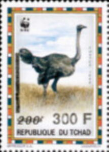 Stamp: Common Ostrich (Struthio camelus) - Female (Chad(Ostriches 1998 ...