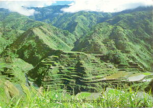 Postcard: Banawe Rice Terraces (Philippines(Banawe) Col:PH-001019,PC ...