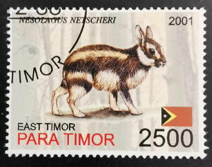 Stamp: Nesolagus Netscheri (East Timor: Illegal Stamps(Rabbits (2001 ...