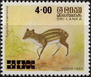 Stamp: White-spotted Mouse Deer (Tragulus meminna) (Sri Lanka(Native ...