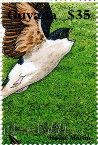 Stamp: House Martin (Guyana(Fauna (1995)) Yt:GY 3874,Sg:GY 4510