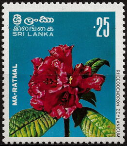 Stamp: Ma-Ratmal - Rhododendron zeylanicum (Sri Lanka(Indigenous ...