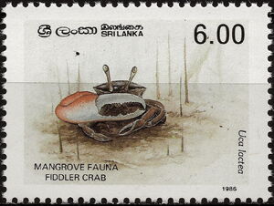 Stamp: Milky Fiddler Crab (Uca lactea) (Sri Lanka(Mangrove Conservation ...