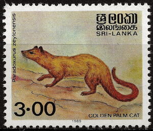 Stamp: Golden Palm Cat (Paradoxurus zeylonensis) (Sri Lanka(Native ...