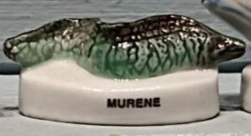 Meal Toy: Murene (Fèves, France(Aquarium La Rochelle) Col:AQU-2011-0004