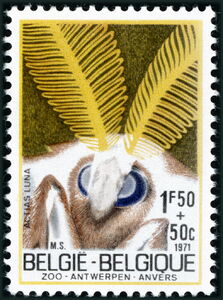 Stamp: Luna Moth (Actias luna) (Belgium(Solidarity - Insects) Mi:BE ...