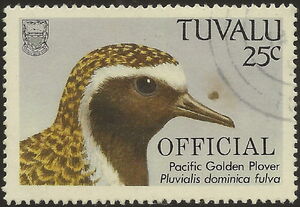 Stamp: Pacific Golden Plover (Pluvialis dominica fulva) (Tuvalu(Birds ...