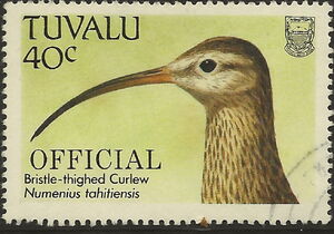 Stamp: Bristle-thighed Curlew (Numenius tahitiensis) (Tuvalu(Birds ...