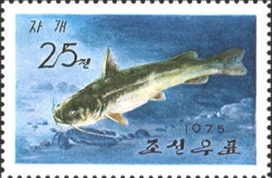Stamp: Amur Catfish (Silurus asotus) (Korea, North(Freshwater Fish ...