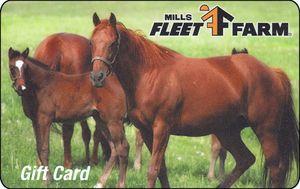 Gift Card: Horses (Mills Fleet Farm, United States of America(Animals ...