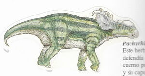 Sticker: Dinosaurios - Dinosaurios. Pachyrhinosaurus (Altea, Spain ...