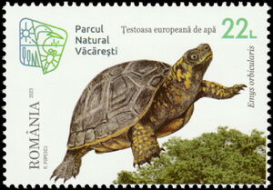 Stamp: European Pond Turtle (Emys orbicularis) (Romania(Văcărești ...