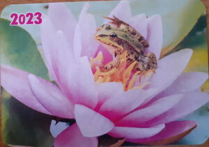 Pocket Calendar: Frog (Russia(Frogs) Col:RUS-2023-Animal-008.07