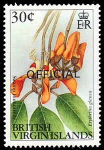 Stamp: Swamp Immortelle (Erythrina glauca) (British Virgin Islands ...