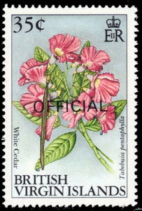 Stamp: White Cedar (Tabebuia pentaphylla) (British Virgin Islands ...