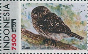 Stamp: Javan owlet (Glaucidium castanopterum) (Indonesia(Birds (2023 ...