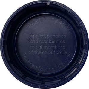 Bottle Cap: Snapple Apple Scan QR Code For A Fun Time Every Time ...