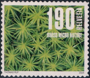 Stamp: Moss: Broom Moss (Switzerland(Drawn by Nature (Definitive Stamps ...