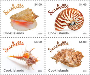 Stamp: Seashells (Cook Islands(Seashells (2023)) Sn:CK 1767,Yt:CK 1910 ...