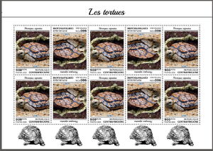 切手: Homopus signatus (中央アフリカ共和国(Turtles (2020)) Mi:CF 9369KB 📮