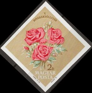 Stamp: 5th Hungarian Rose Exhibition (Hungary(Great times - Great ...