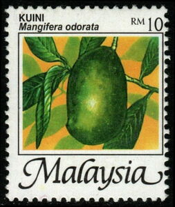Stamp: Mango (Mangifera odorata) (Malaysia(Tropical Fruits (2002)) Sg ...