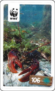 Plakker: REWE WWF Tier Abenteuer Sammelbilder - Europäischer Hummer ...