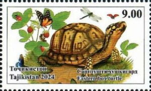 Stamp: Eastern Box Turtle (Tajikistan(Turtles (2024)) Col:TJ 2024.00.00-03b