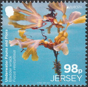 Stamp: Bladder Wrack (Fucus vesiculosus) (Jersey(Underwater Fauna and ...