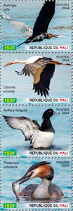 Stamp: Aquatic Birds of Mali (Mali(Aquatic Birds of Mali (2024)) Col:ML ...