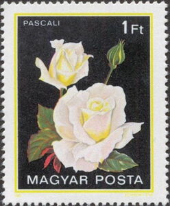 Stamp: Pascali (Hungary(Roses (1982)) Mi:HU 3548A,Sn:HU 2735,Yt:HU 2806 ...