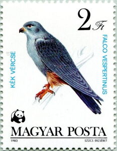 Stamp: Red-footed Falcon (Falco vespertinus) (Hungary(Birds of Prey ...