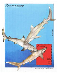 Stamp: Sharks (Somalia(Sharks) Yt:SO BF100 📮