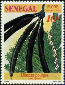 Stamp: Locust Bean Tree (Parkia biglobosa) (Senegal(Flowers and their ...