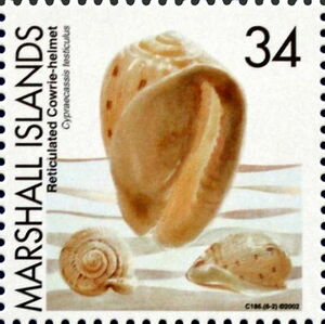Stamp: Reticulate Cowrie-helmet (Marshall Islands(Sea Shells 2002) Mi ...