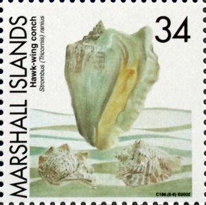 Stamp: Hawk-wing conch (Marshall Islands(Sea Shells 2002) Mi:MH 1555,Yt ...