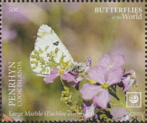 Stamp: Large Marble (Euchloe ausonides) (Penrhyn(Butterflies of the ...