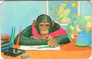 Calendario de Bolsillo: Chimp in the School (Portugal(Monkeys) Col:PT ...