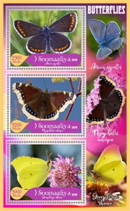 Stamp: Butterflies (Somalia: Illegal Stamps(Butterflies (2019)) Col:SO ...