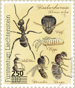 Stamp: Alpine Silver Ant (Formica selysi) Surcharged (Liechtenstein ...