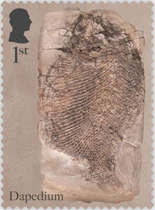 Stamp: Fossil of Dapedium politum (United Kingdom of Great Britain ...